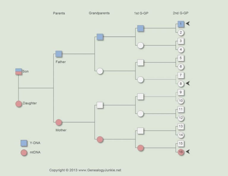 Applying DNA Tests to Family Trees