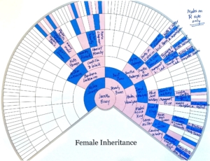 DNA Discovery: Phasing the X Chromosome