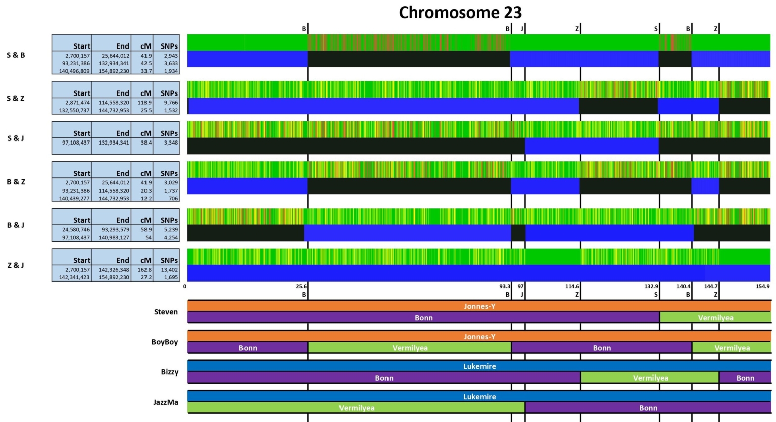 DNA Discovery: Phasing the X Chromosome